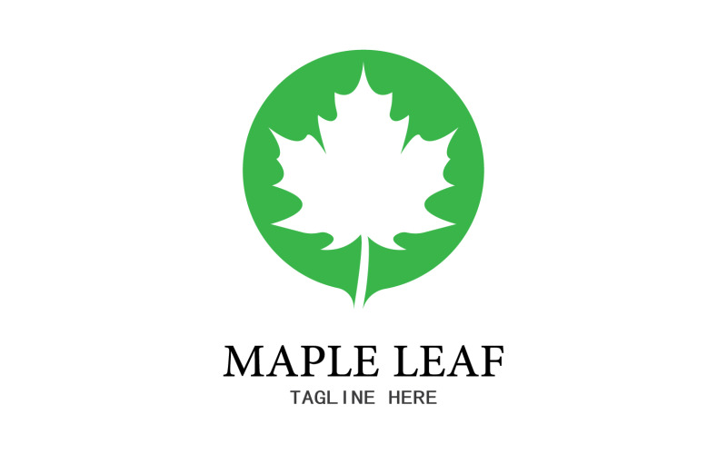 Leaf Mapple vector logo icon v28 #355076 - TemplateMonster