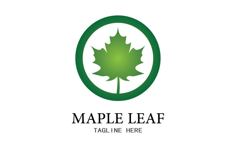 Leaf Mapple vector logo icon v29 #355081 - TemplateMonster