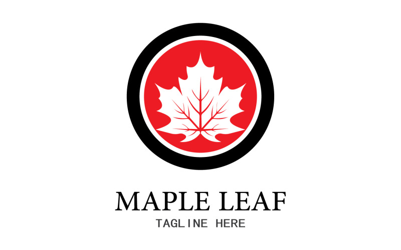 Leaf Mapple vector logo icon v36 #355086 - TemplateMonster