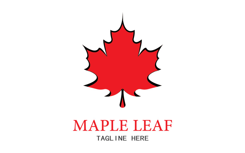Leaf Mapple vector logo icon v41 #355091 - TemplateMonster