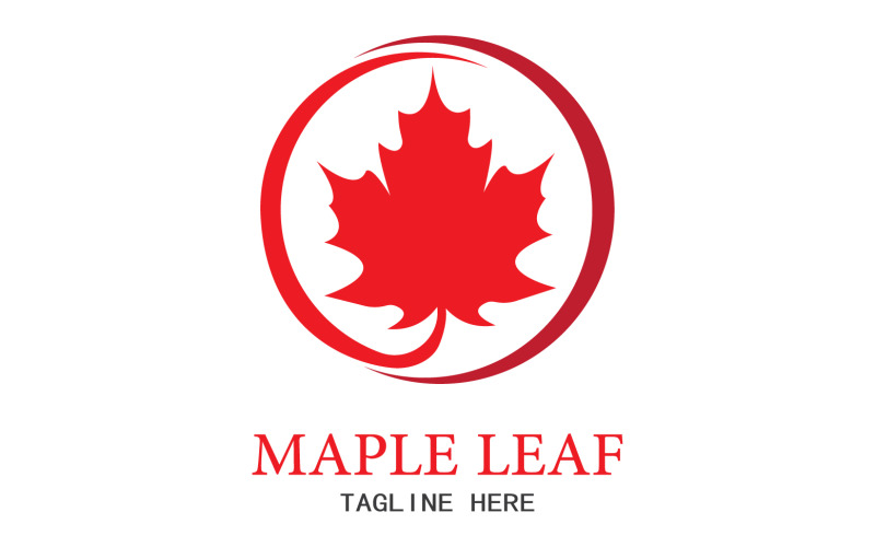 Leaf Mapple vector logo icon v44 #355096 - TemplateMonster