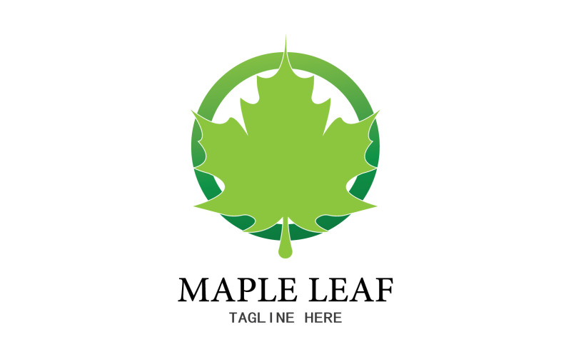 Leaf Mapple vector logo icon v46 #355094 - TemplateMonster