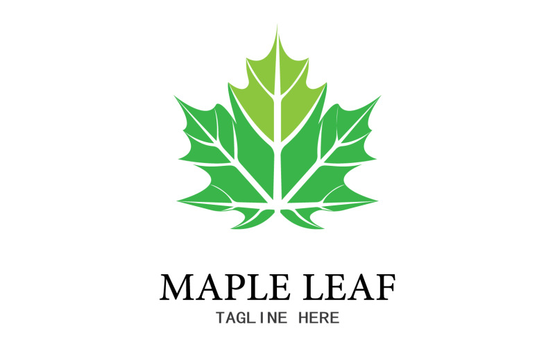 Leaf Mapple vector logo icon v4 #355048 - TemplateMonster