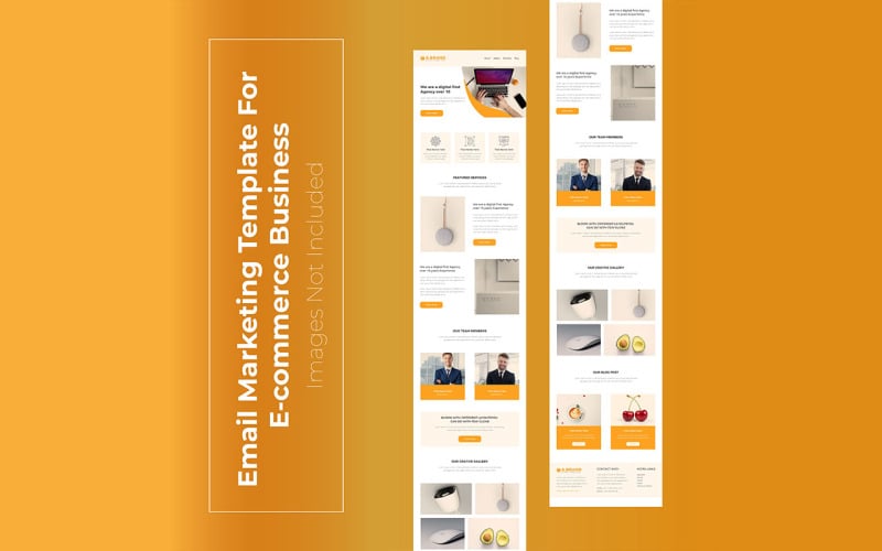 Email Newsletter Template design #361600 - TemplateMonster