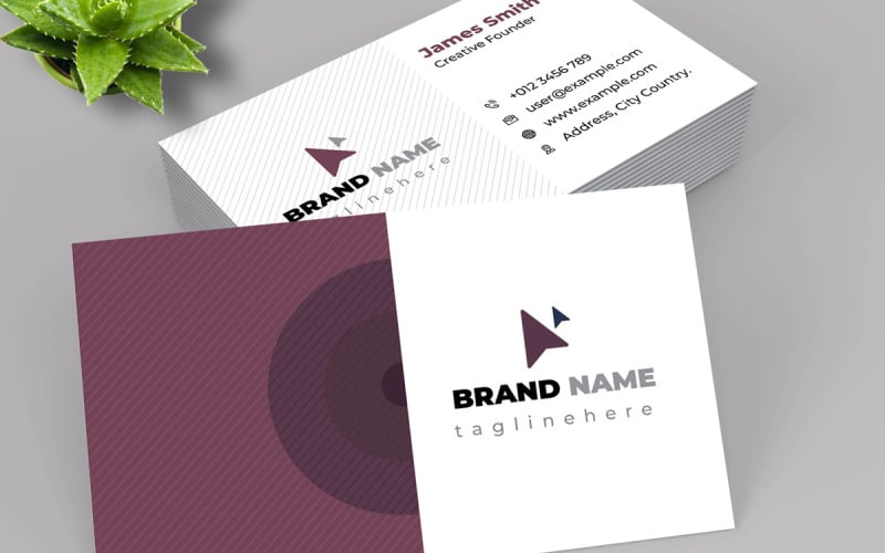 Clean Design Business Card Template #373589 - TemplateMonster