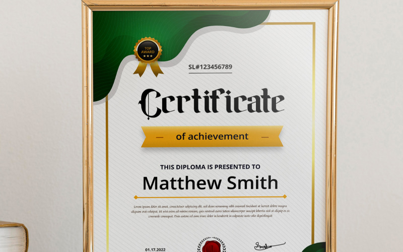 Šablona certifikátu diplomu #374402 - TemplateMonster