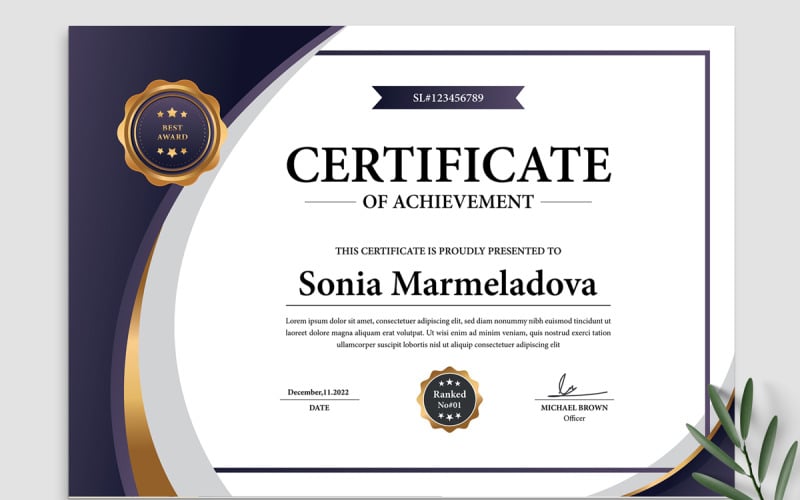Achievement Of Certificate Template #376320 - TemplateMonster