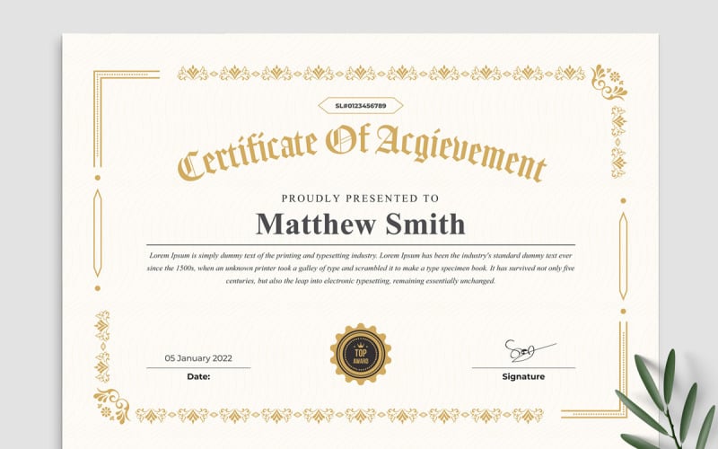 Pro Certificates Template #376791 - TemplateMonster