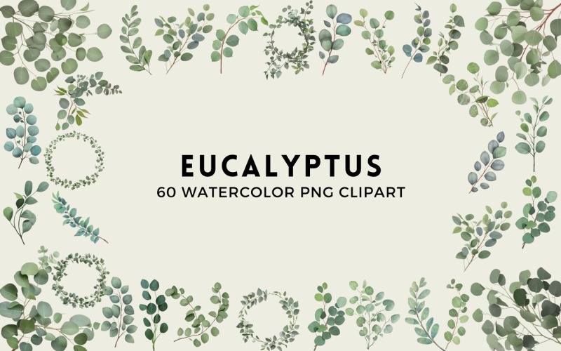 60 Watercolor Eucalyptus PNG Clipart - TemplateMonster