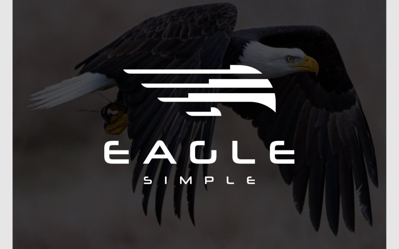 Abstract Eagle Hawk Falcon Logo #380224 - TemplateMonster