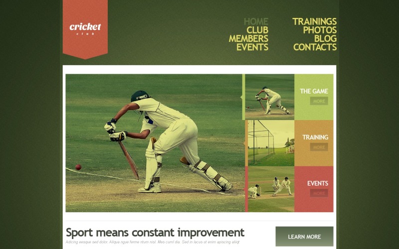 get-cricket-website-template-gif