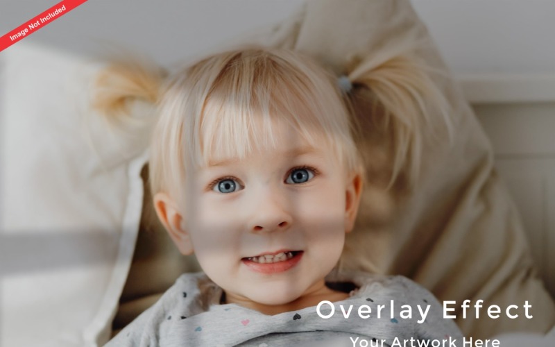 Windows Sunlight Shadow Overlay Effect Mockup 149