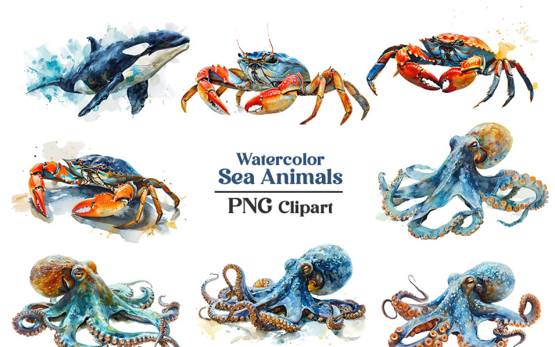 Hand drawn watercolor sea animals clipart illustration