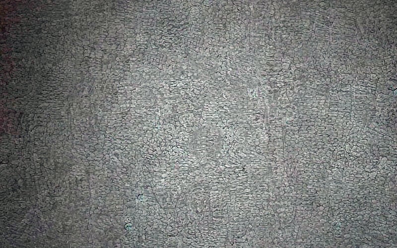 Textured animal skin background_textured leather background_textured ...