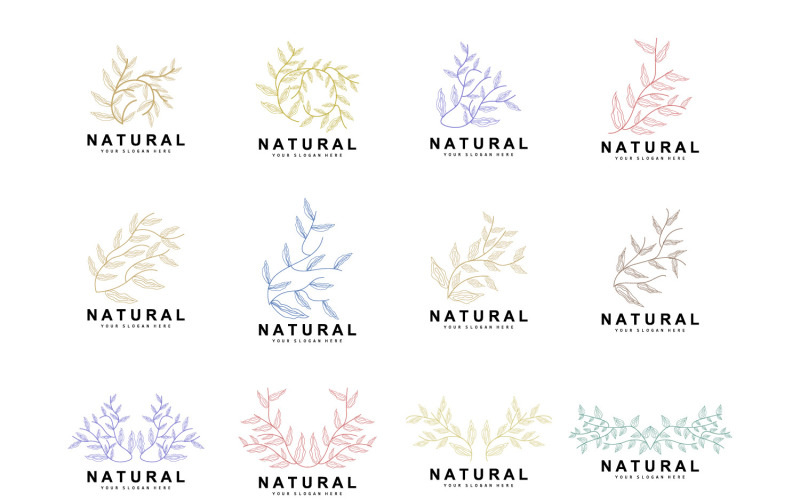 Simple Botanical Leaf and Flower Logo VectorV3