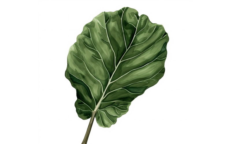 Fiddle Leaves Watercolour Style Painting 5 - TemplateMonster