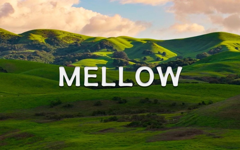 LoFi Mellow Easy Flow / Relaxing LoFi - TemplateMonster