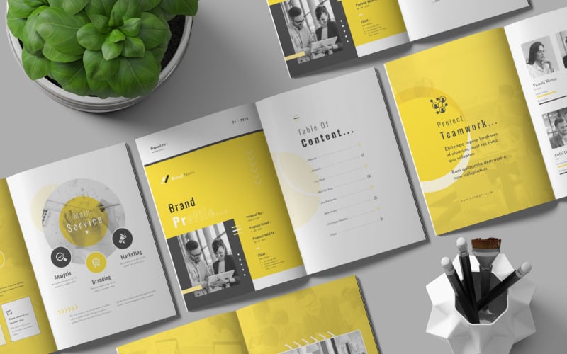 Brand Profile Template - (InDesign) #430987 - TemplateMonster