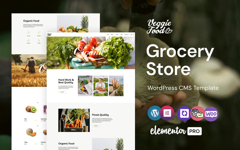 Delicacy - Organic & Food Store Elementor WordPress Theme