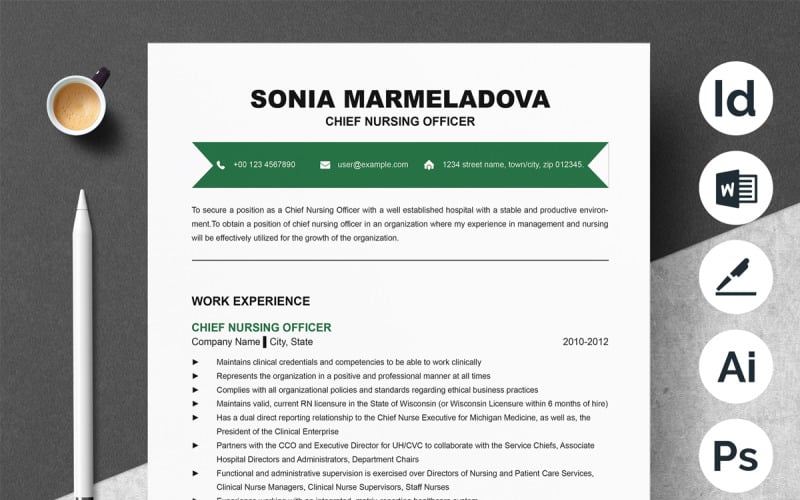 Simple And Clean Resume Template Design - TemplateMonster