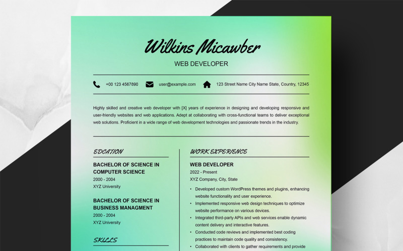Clean And Simple Resume For Web Developer - TemplateMonster