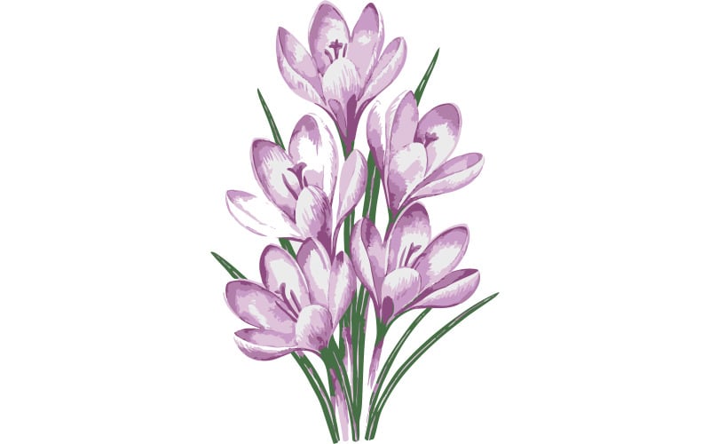 Realistic watercolor illustration of beautiful pink phlox flowers and ...
