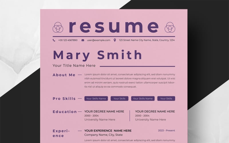 Executive Professional Resume Layout - TemplateMonster