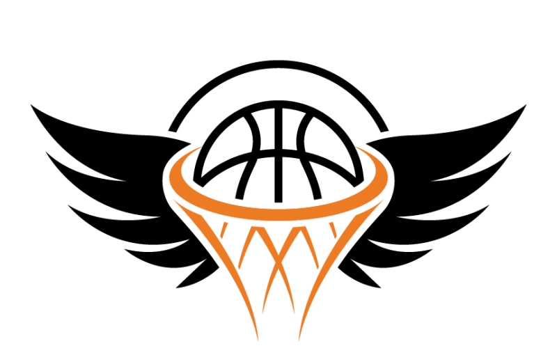 Basketball With Wing Logo Template #467480 - TemplateMonster