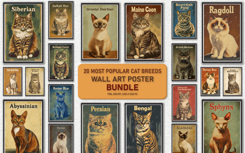 Lot d'affiches murales représentant 20 types de chats