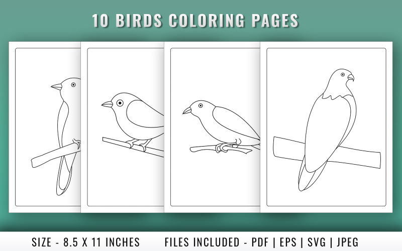 10 pages de coloriage d'oiseaux pour enfants