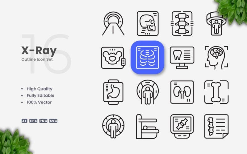 16 X-Ray Outline Icon Set #497767 - TemplateMonster