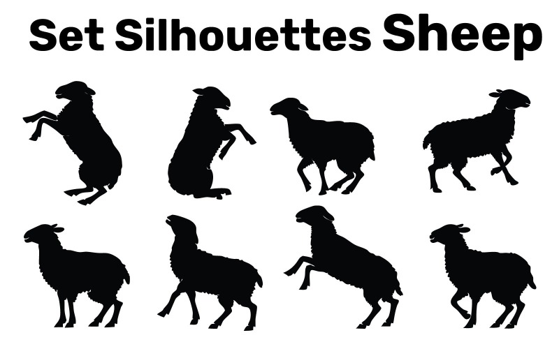Set Silhouettes sheep, Vector, Easy to Edit isolated on white Background