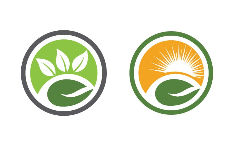 Healthy life tree leaf concept logo design template v.16