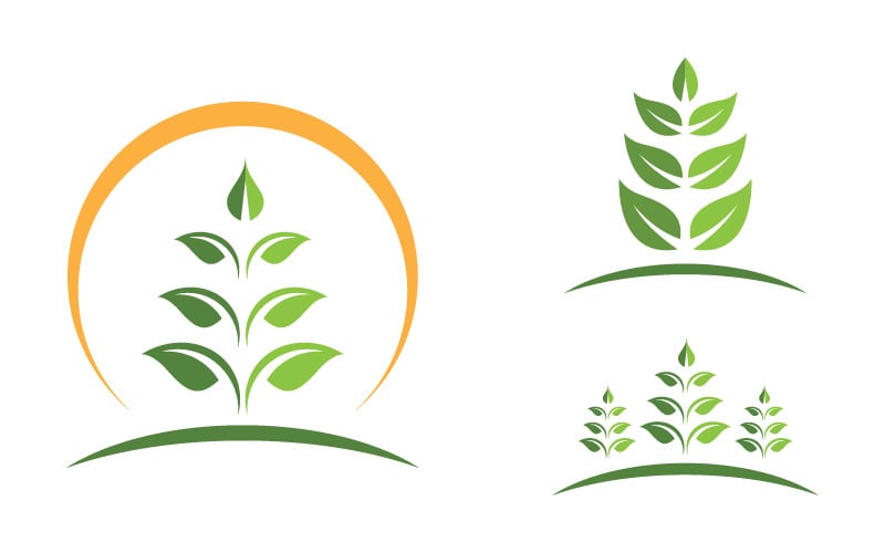 Healthy life tree leaf concept logo design template v.35