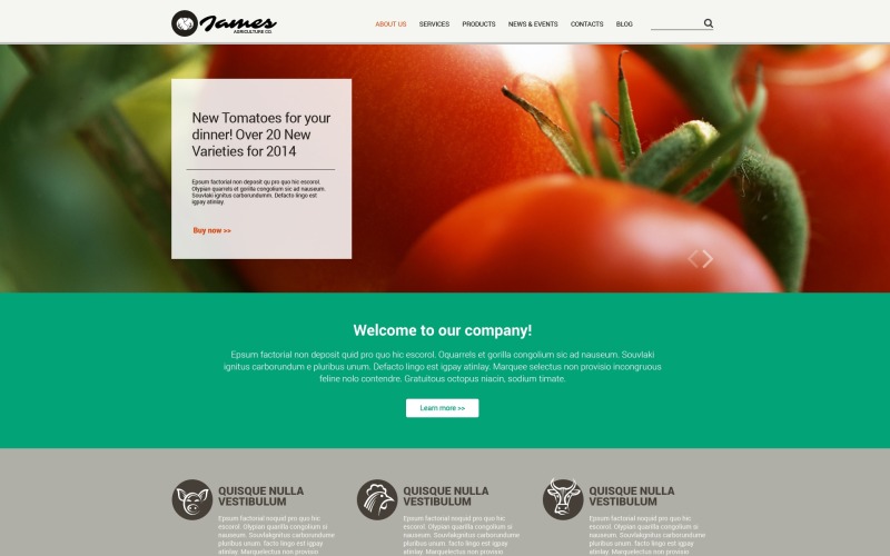 Mais de 25 modelos de sites em HTML de frutas - TemplateMonster