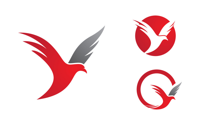 Eagle hawk wing icon Template logo design v.5