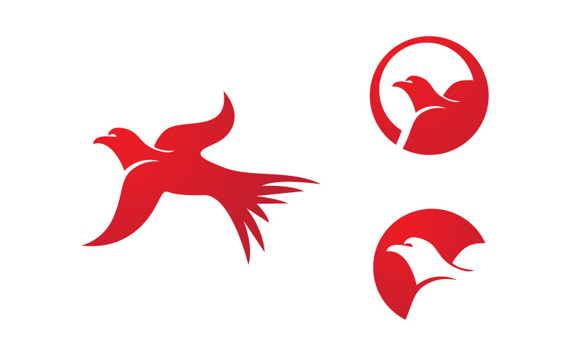 Eagle hawk wing icon Template logo design v.23