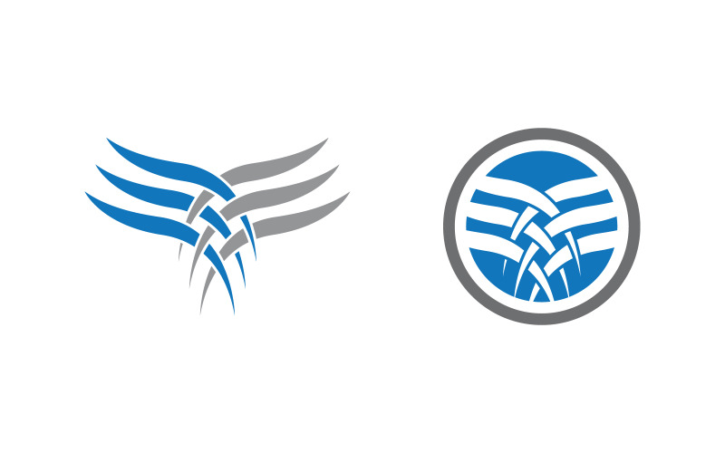 Eagle hawk wing icon Template logo design vv.46