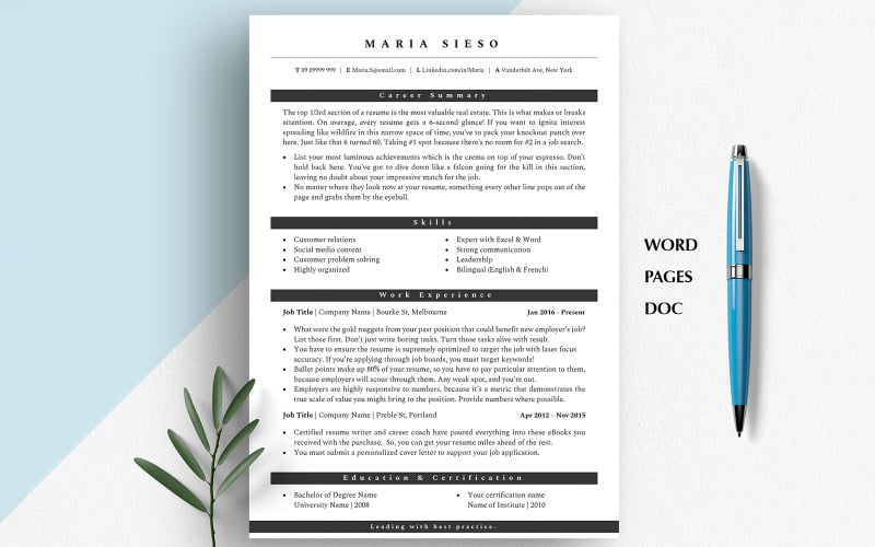Basic Resume Example – Minimalist Resume Template for Microsoft Word ...