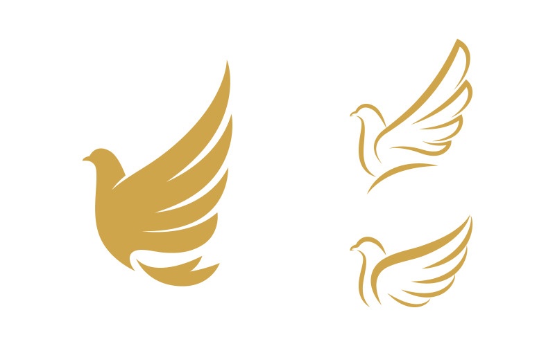 Eagle hawk wing icon Template logo design v2.36