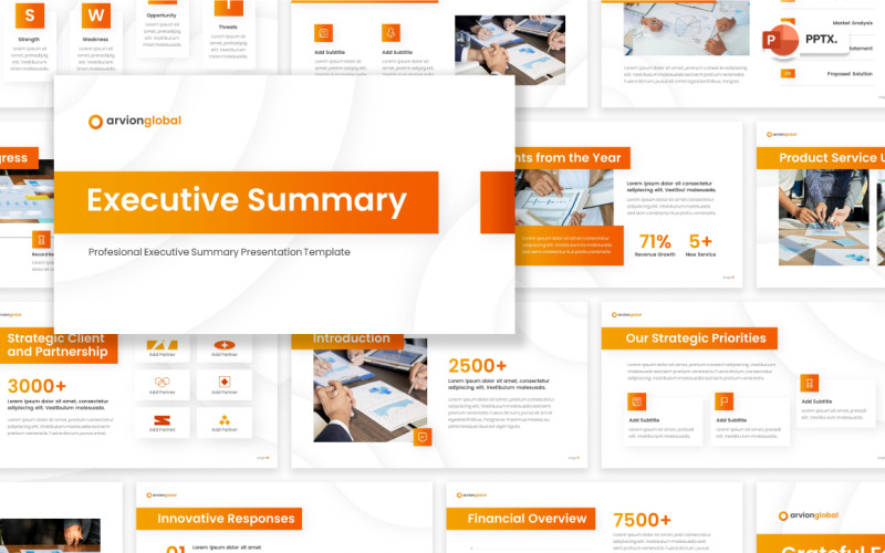 Professional Executive Summary PowerPoint - TemplateMonster