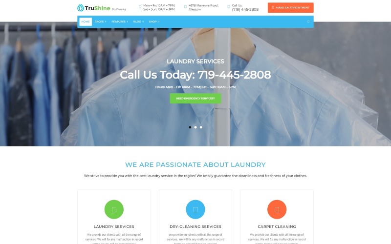 TruShine Laundry Service WordPress Theme - TemplateMonster