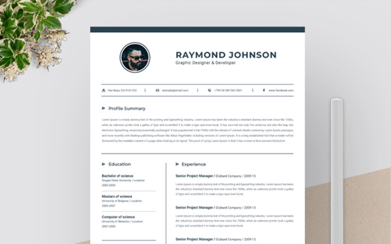 Raymond Johnson CV-mall #74115 - TemplateMonster