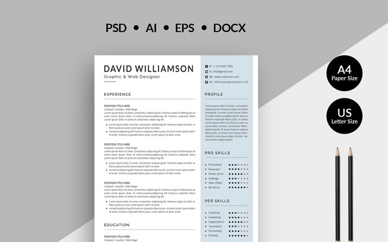 David Williamson - Resume Template #77383 - TemplateMonster