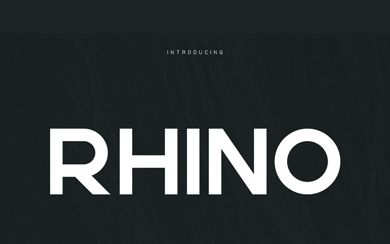 Fuente Rhino #77915 - TemplateMonster