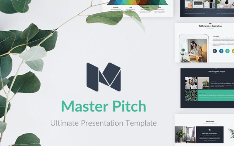 Master-Pitch PowerPoint-Vorlage #80163 - TemplateMonster