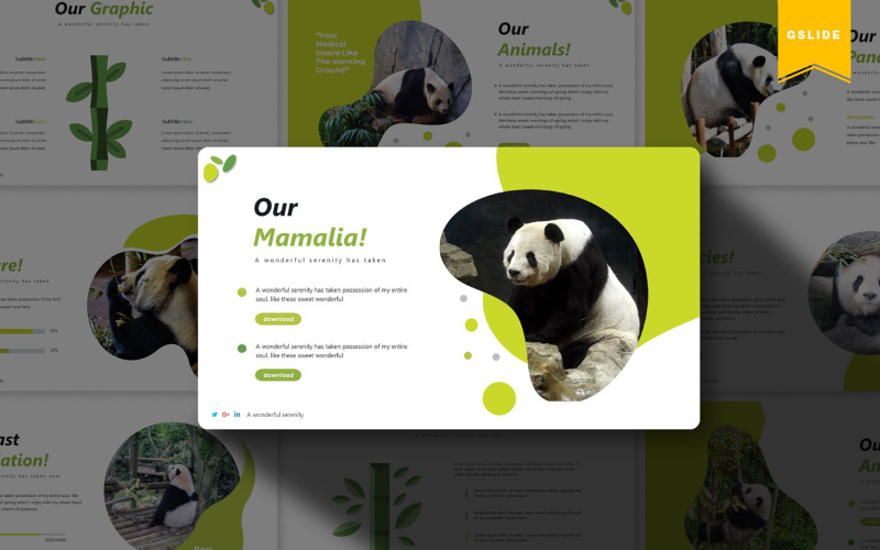 Plantillas de Google Slides de Animales y Mascotas - Temas de Google ...