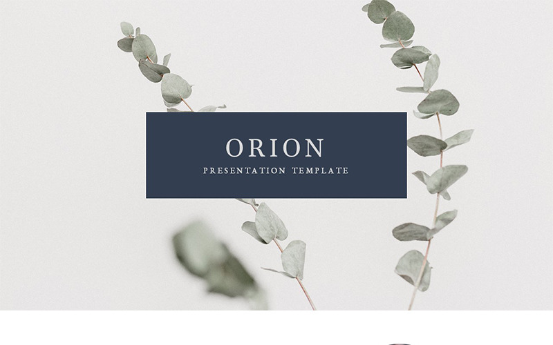 Orion PowerPoint template #91739 - TemplateMonster