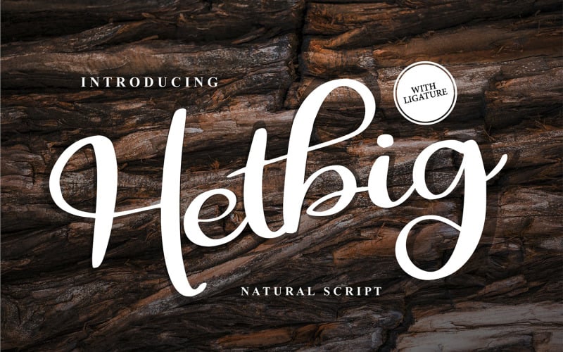 Hetbig | Natural Cursive Font #93025 - TemplateMonster