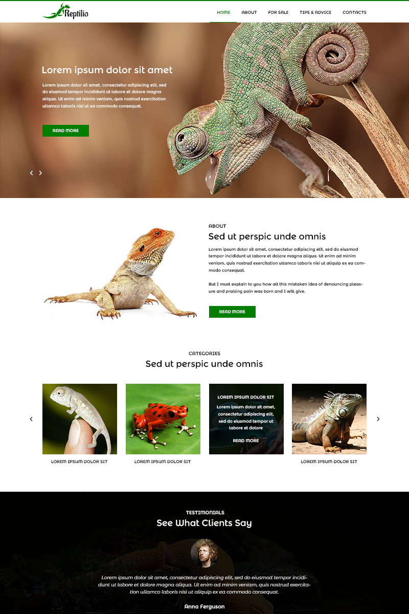 Reptilio - Reptile PSD Template PSD Template #82012